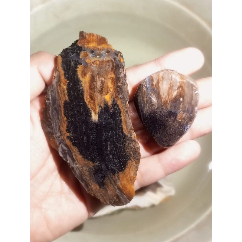 Jual Natural Bahan Batu Posil Kayu | Shopee Indonesia