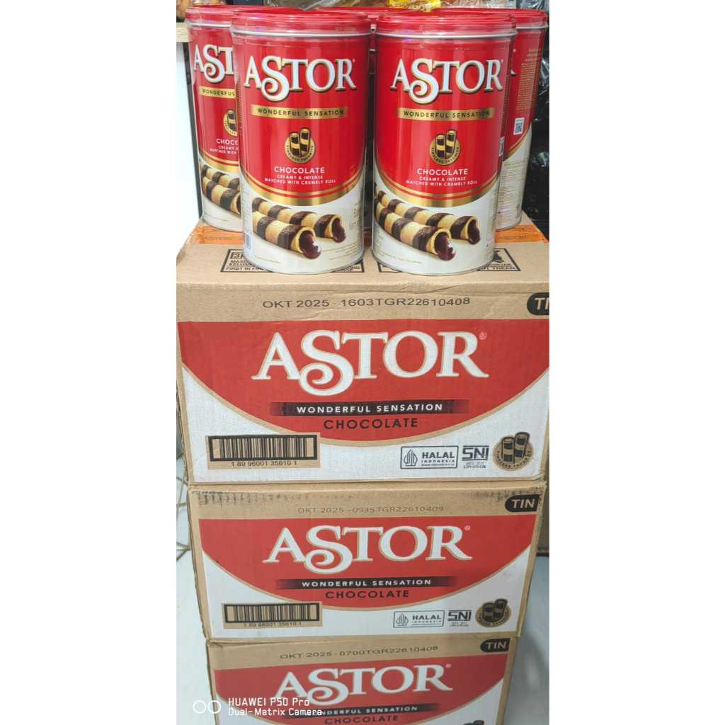Jual ASTOR STICK COKLAT 1 DUS | ASTOR WAFER COKLAT ISI 6 KALENG ...