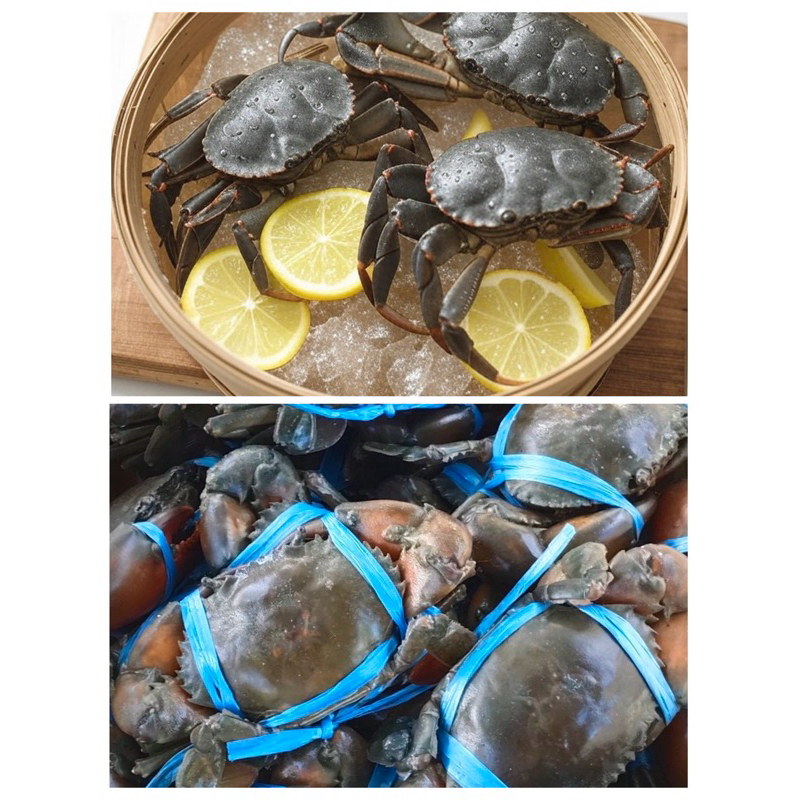 Jual Kepiting Fresh Hidup - 500 gram | Shopee Indonesia