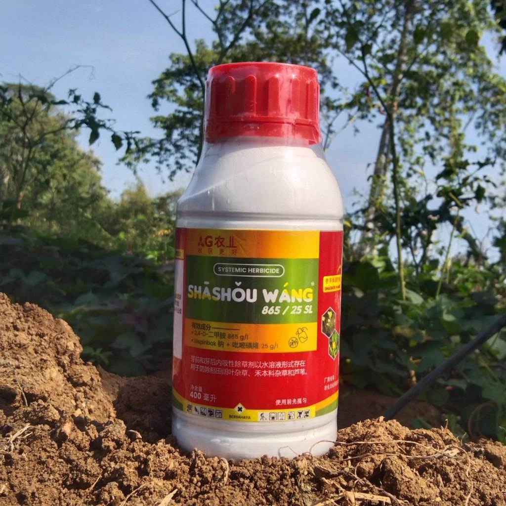 Jual Shashou Wang Herbisida Sistemik Selektif Pembasmi Rumput Liar ...