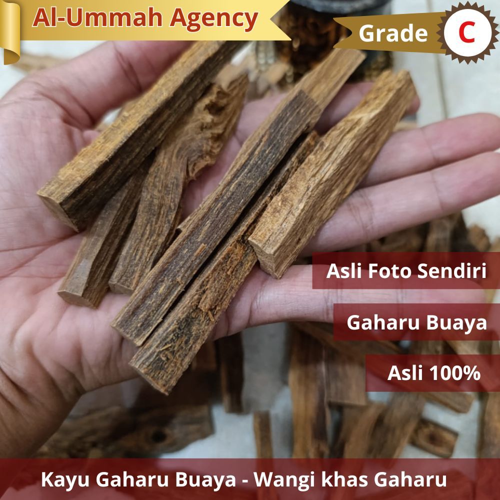 Jual Gaharu Kayu Wangi Khas Gaharu Asli Hutan Kalimantan Kayu Asli Gahru 50 gram | Shopee Indonesia