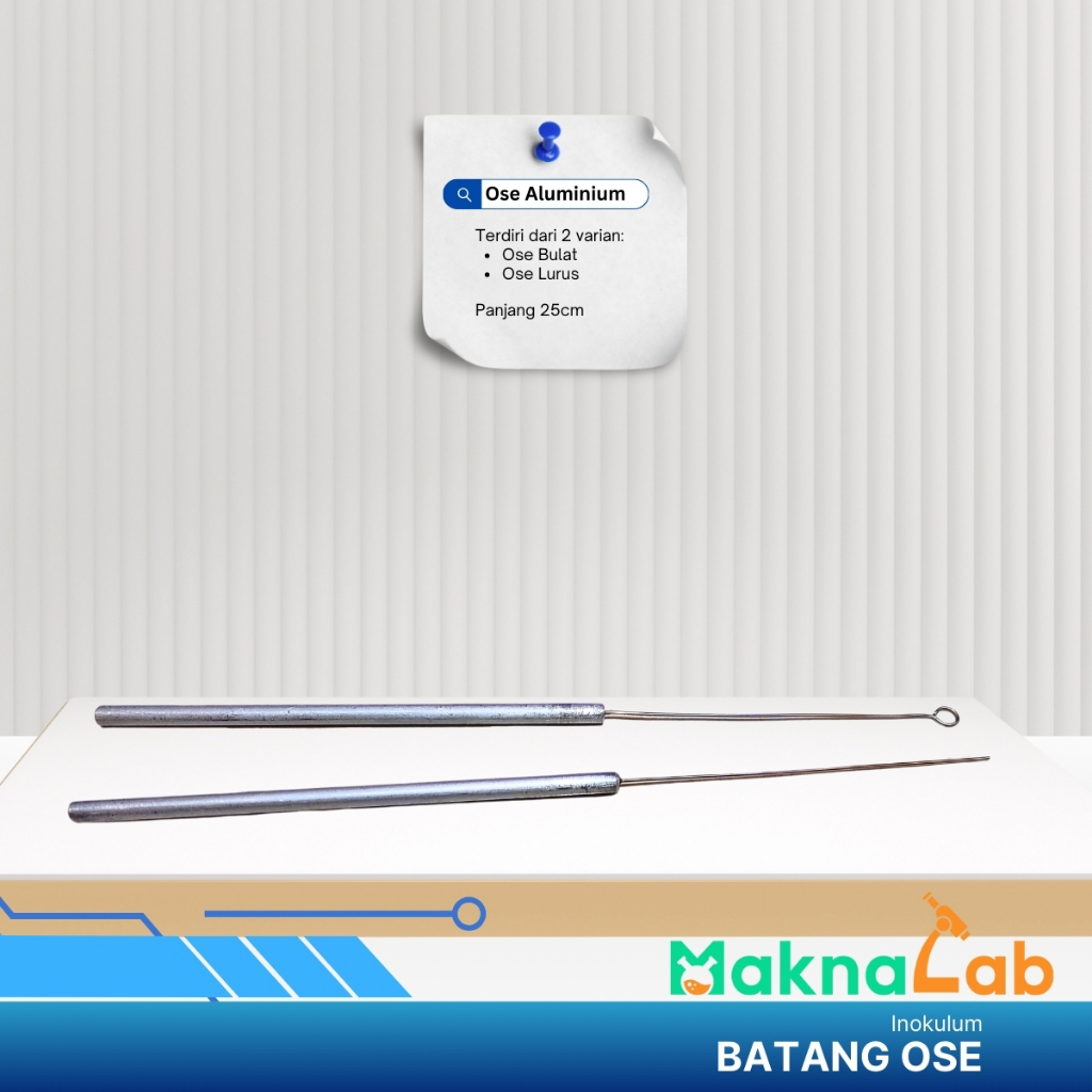 Jual Batang Ose Gagang Aluminium 25cm l Jarum Inokulum Lurus l Jarum ...