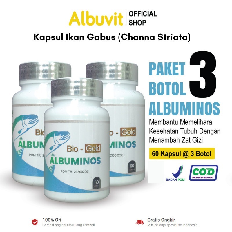 Jual Paket 3 Botol ALBUMINOS Kapsul Ikan Gabus Kutuk Channa Striata BPOM Untuk Bantu Luka Pasca ...