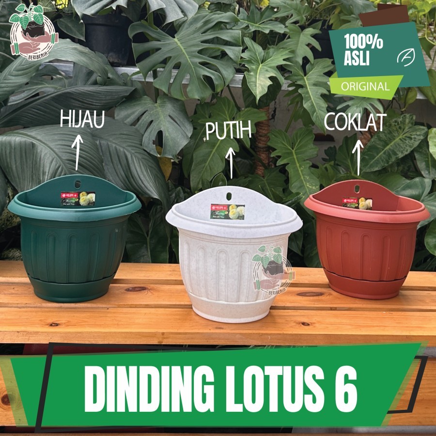 Jual Pot Bunga Tanaman Hias Tempel Dinding Lotus no 6 Pot Gantung ...