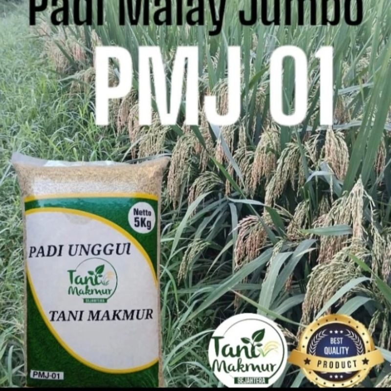 Jual BENIH PADI PMJ 01 KEMASAN 5KG | Shopee Indonesia