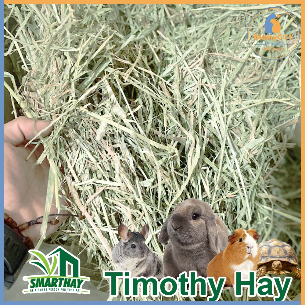 Jual Smarthay Rumput Hay Makanan Kelinci Timothy Hay 2nd Cut 1 Ball ...