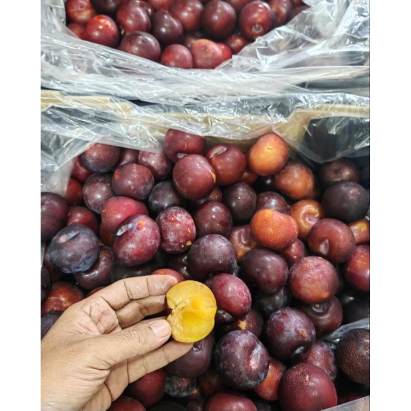 Jual BUAH PLUM SWEET AUSI MANIS 1KG | Shopee Indonesia