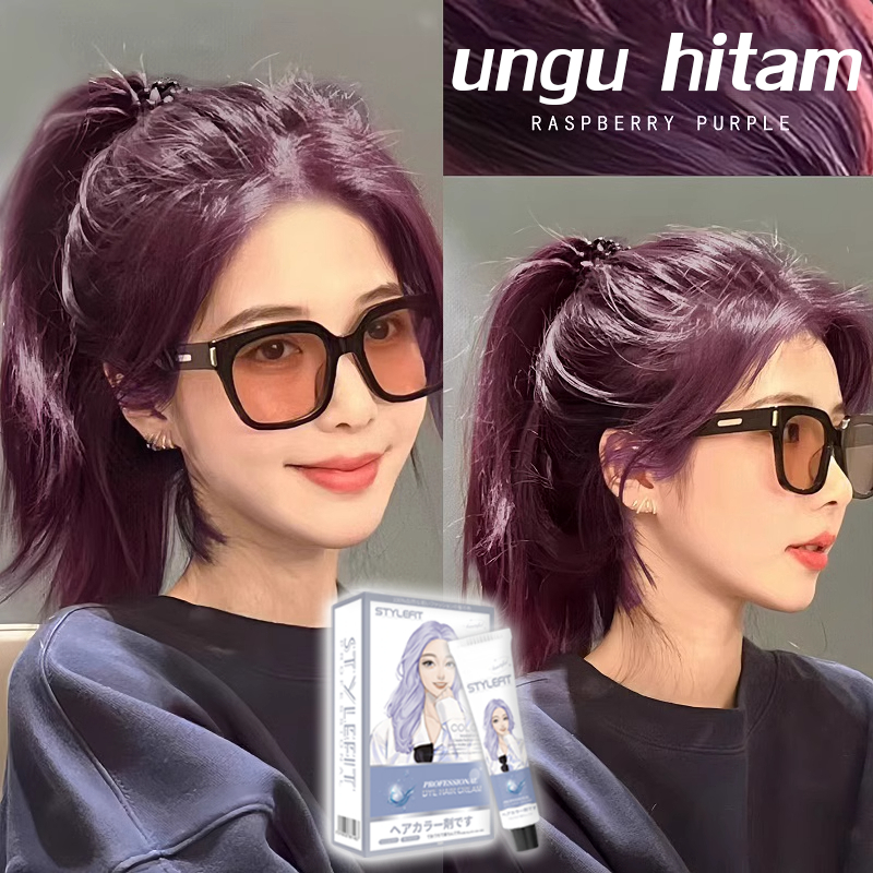 Jual 【Tidak merusak rambut】STYLE FIT Cat rambut ungu hitam 200ML Bahan ...