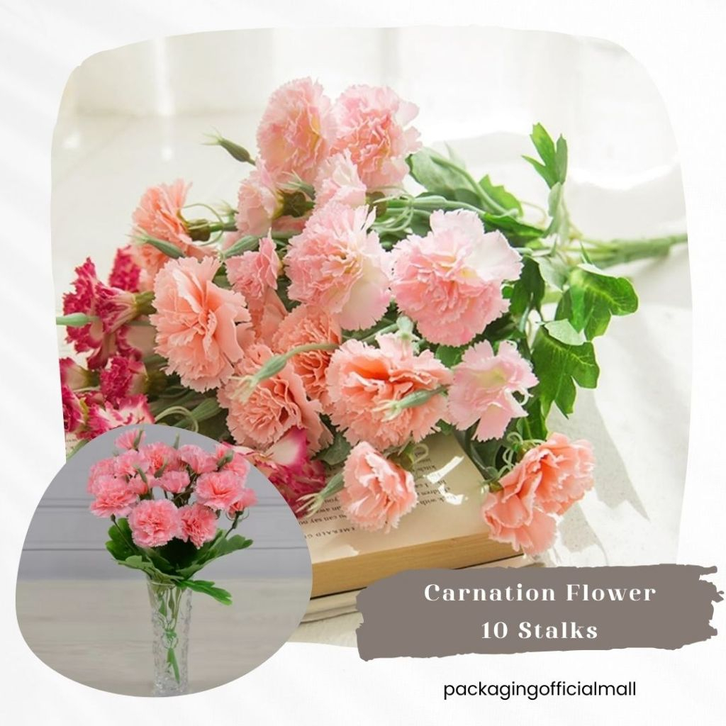 Jual CARNATION FLOWER 10 STALKS / KEPALA BUNGA PALSU / BUNGA BUKET ...