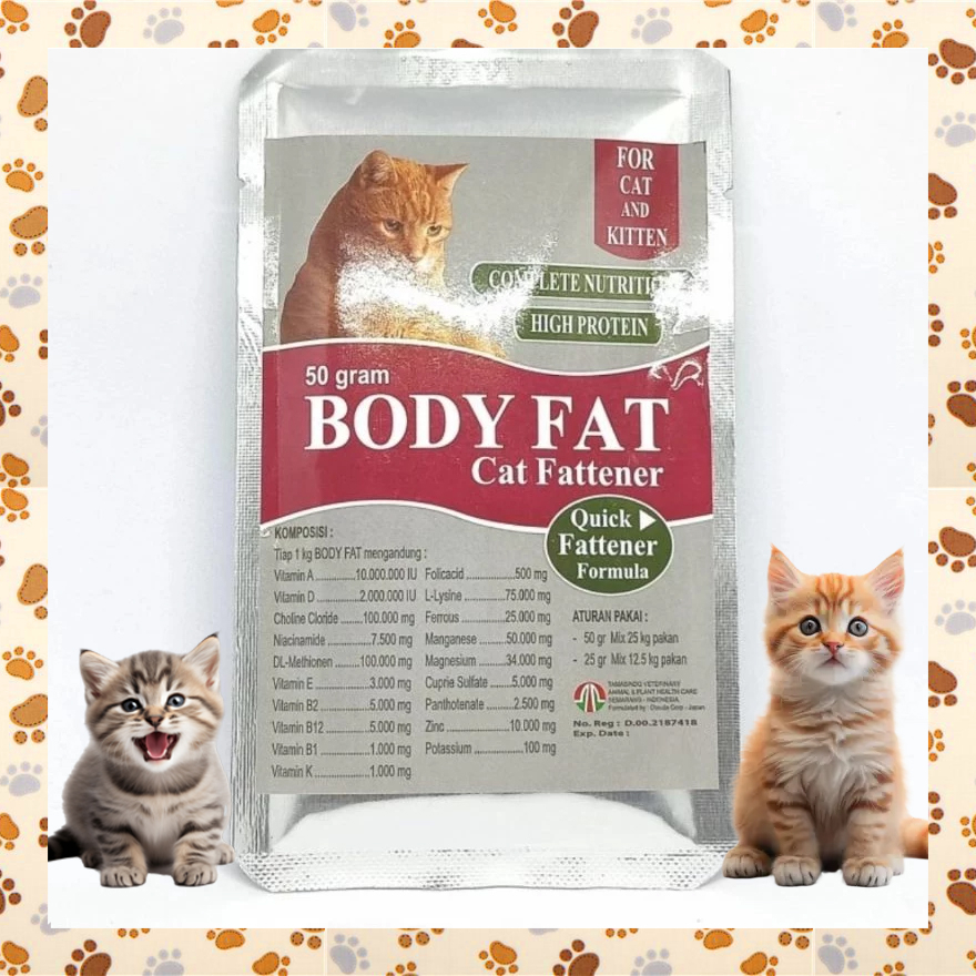 Jual B60DB3 Penggemuk Kucing BODY FAT Gembul Gemoy Lucu Gendut Gemuk ...