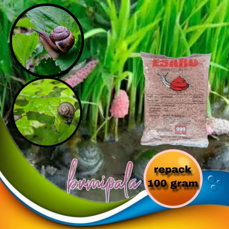 Jual Racun keong racun siput repack 100 gram | Shopee Indonesia