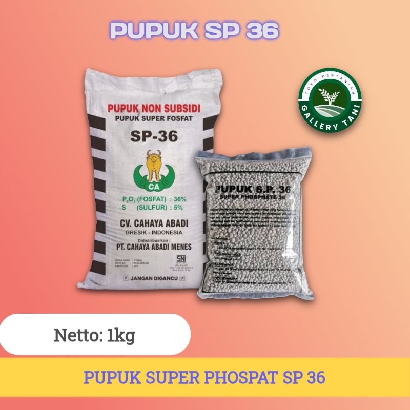 Jual Pupuk SP36 Super Phosfate 36% Kemasan 5KG | Shopee Indonesia