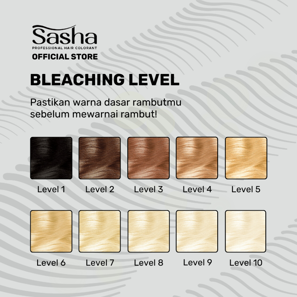 Jual Sasha Hair Professional Colorant / Bleaching Box | Hair ...