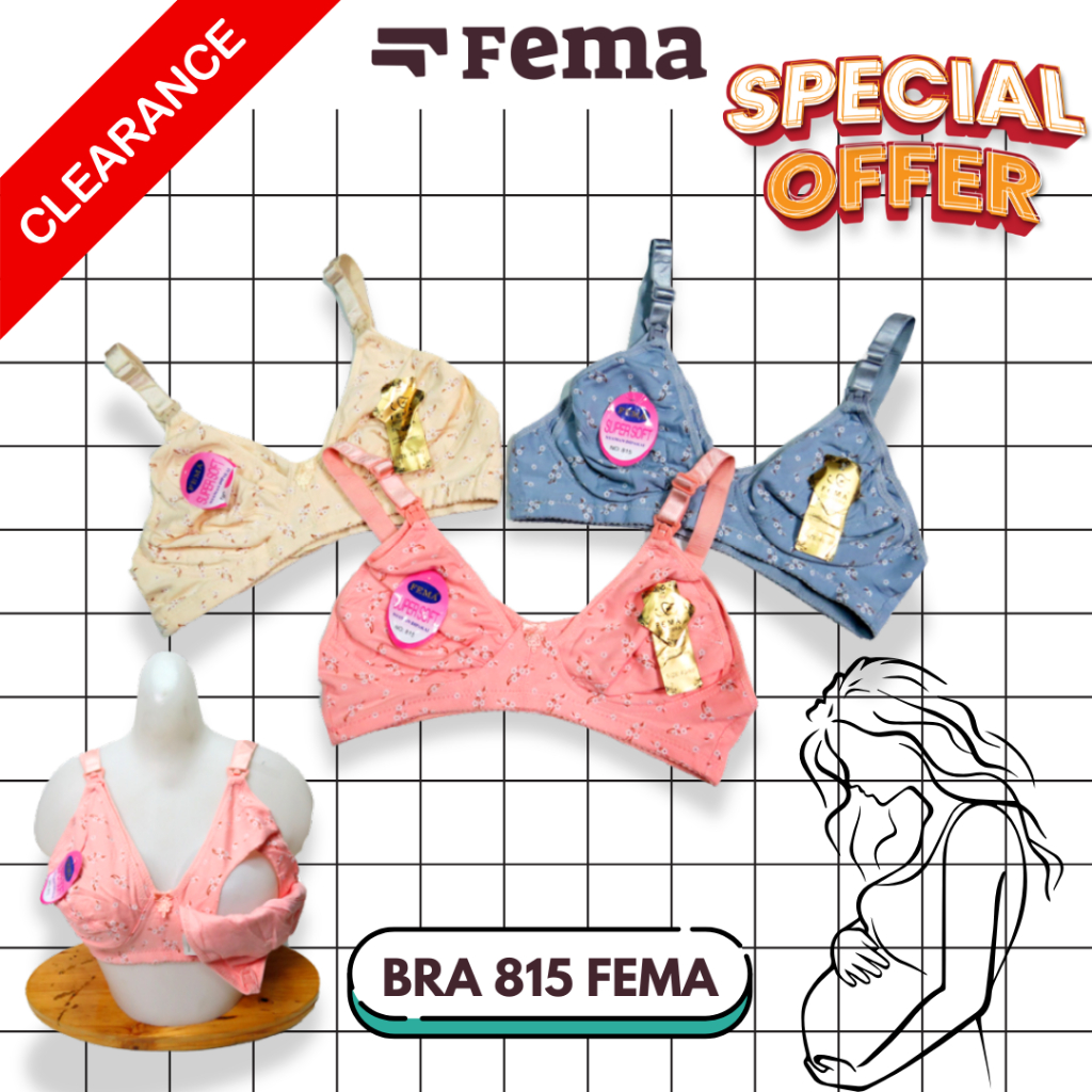 Jual FEMA Official Shop Ecer 1 Pcs BH Bra 815 Netek Menyusui Maternity ...
