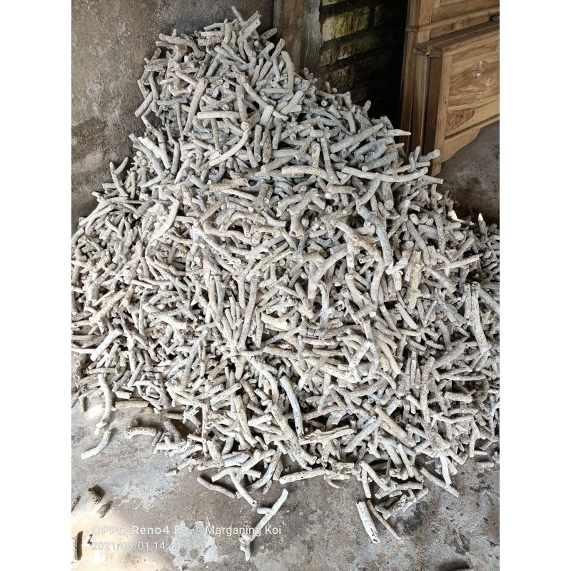 Jual KARANG JAHE MEDIA FILTER AQUARIUM IKAN TINGKATKAH PH packing 1kg ...