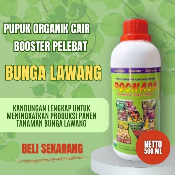 Jual Pupuk Bunga Lawang / Pupuk Bunga Lawang Agung / Pupuk Booster ...