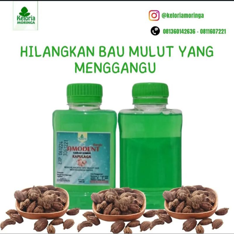 Jual Amodent Gargle | Shopee Indonesia