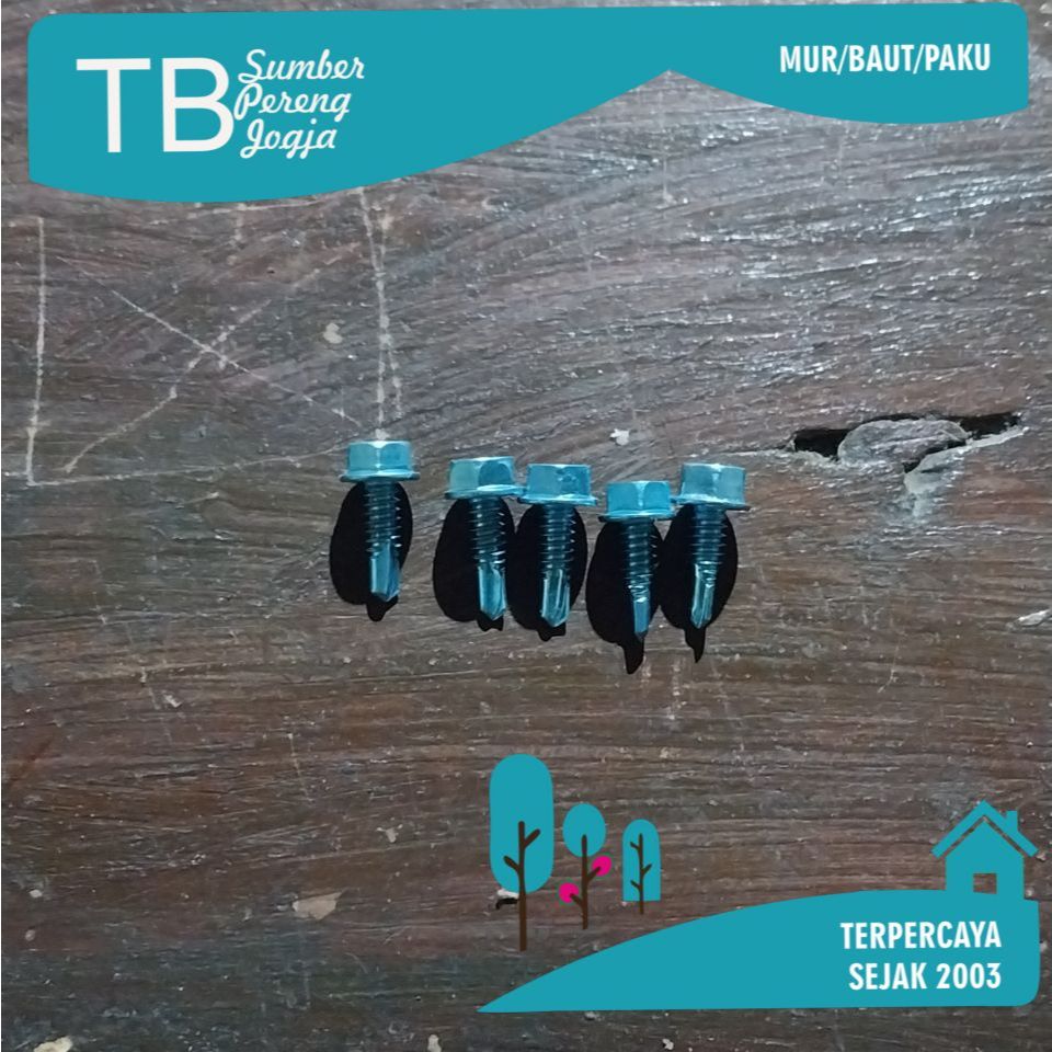 Jual Sekrup Baut Baja Ringan Roofing Panjang 1,9 CM (harga 5 pcs ...