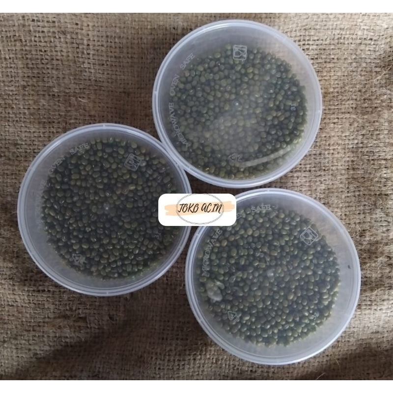 Jual Kacang hijau kualitas super, kacang hijau curah | Shopee Indonesia