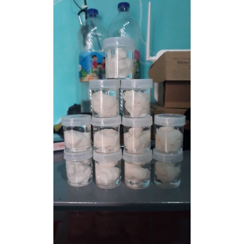 Jual lem pulut jebak burung anti gagal getah karet asli kemasan 20ml ...