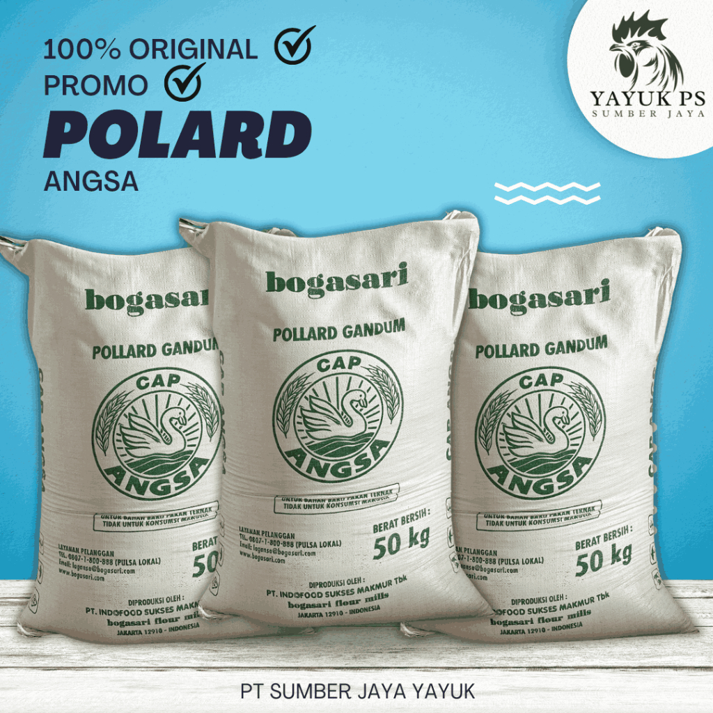 Jual POLAR POLLARD GANDUM CAP ANGSA 50 Kg | Shopee Indonesia