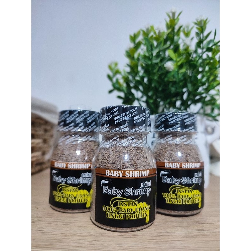 Jual Baby shrimp pakan ikan cupang, guppy dan ikan ikan lainya, 100% ...