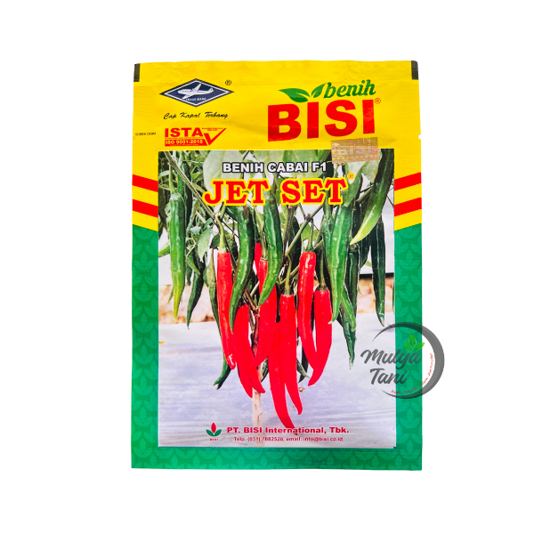 Jual Benih Cabe Besar Jet Set Tahan Virus dan Layu 10 Gram Original ...