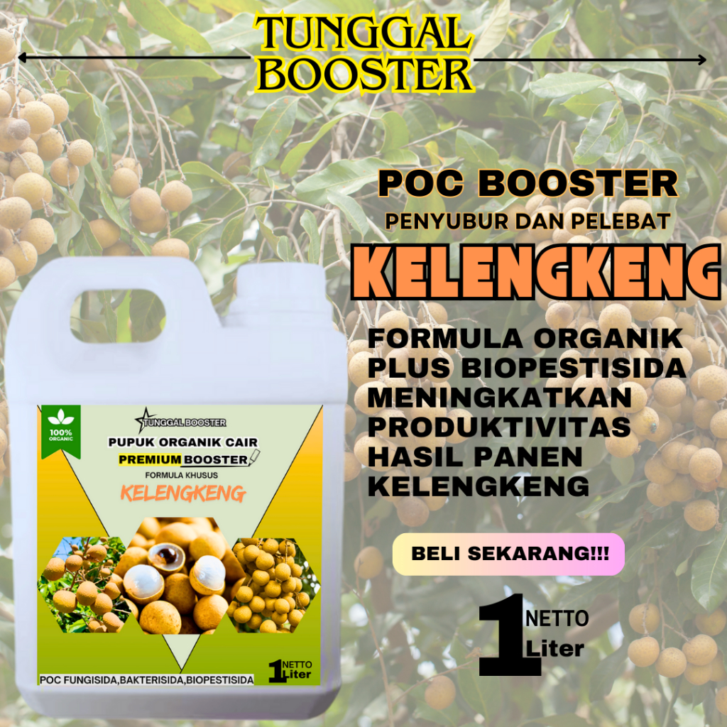 Jual POC Pupuk Organik cair Tanaman Kelengkeng Booster Pelebat dan Perangsang Buah Kelengkeng ...