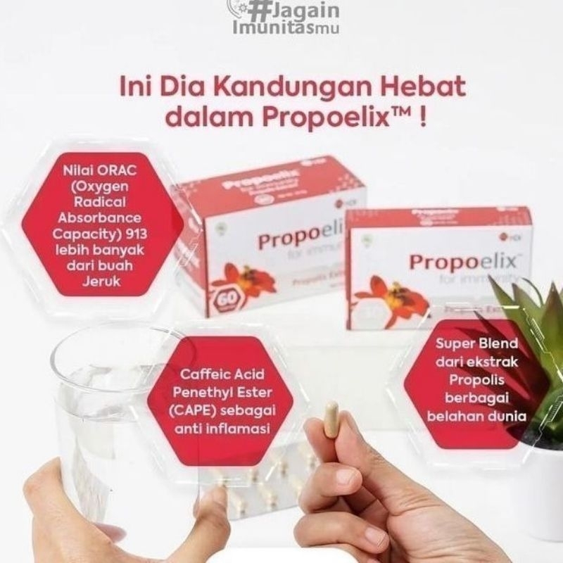 Jual propoelix for immunity 30 kapsul segel 2027 | Shopee Indonesia