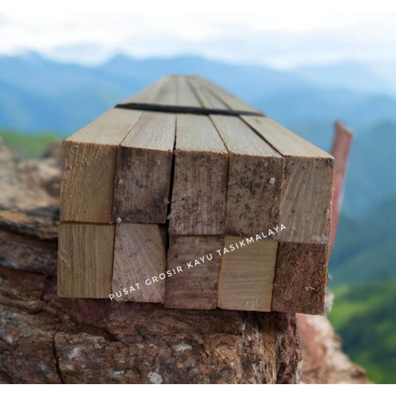 Jual Kayu List 3x4 Reng Kayu paket 10 batang panjang 100cm kayu solid ...