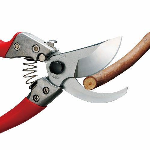 Jual ARS VS-9Z Pruning Shears Gunting Dahan - Merah | Shopee Indonesia