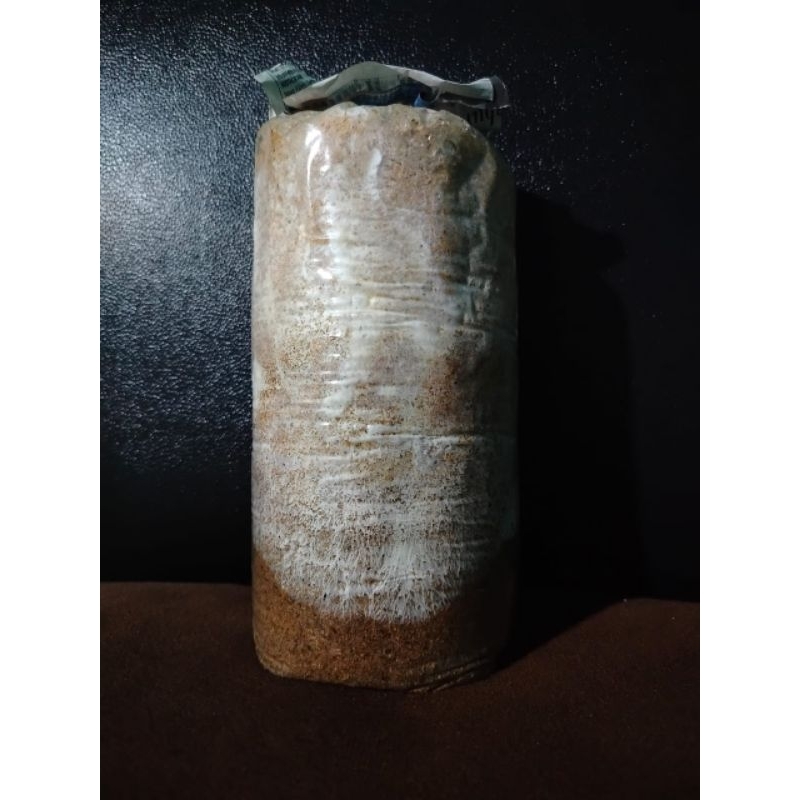 Jual Baglog Jamur Tiram Siap Panen (Paket 1000 Baglog) | Shopee Indonesia