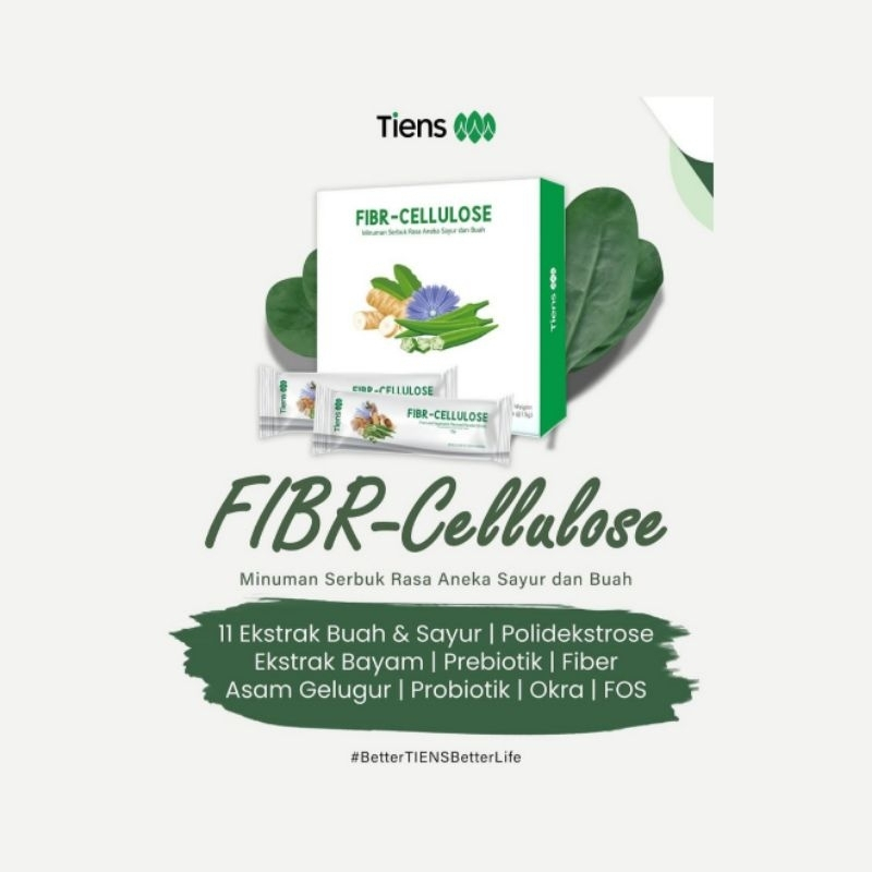 Jual Fibr - Cellulose Minuman Serbuk Serat Sayur dan Buah isi 15 saset ...