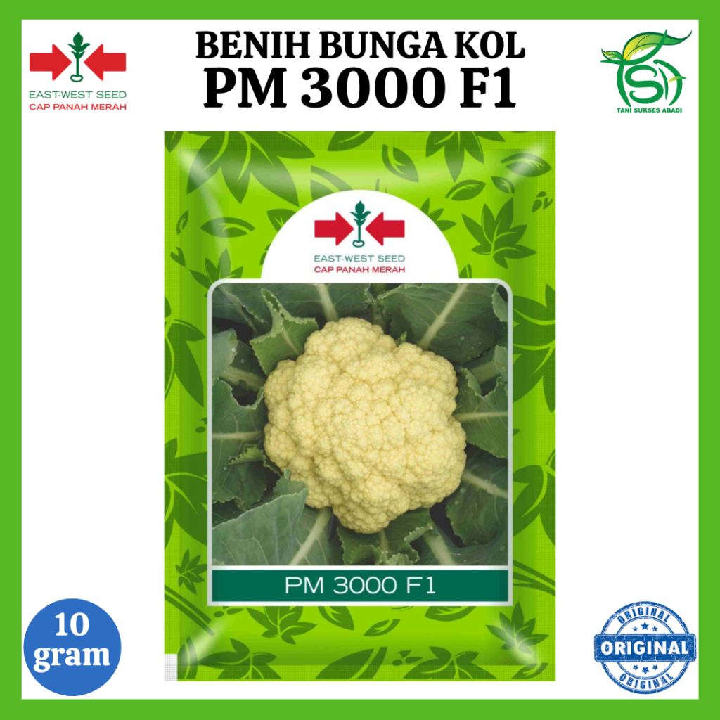 Jual Benih Kembang Kol PM 3000 F1 Kemasan 10 Gram - Bibit Kembang Bunga ...