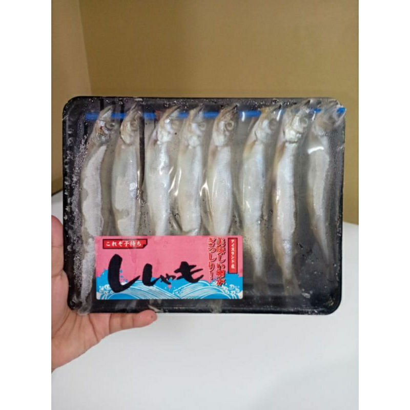 Jual shisamo 150 gr/shisamo 8 ekor/ikan cipung/ikan telur/shisamo ...