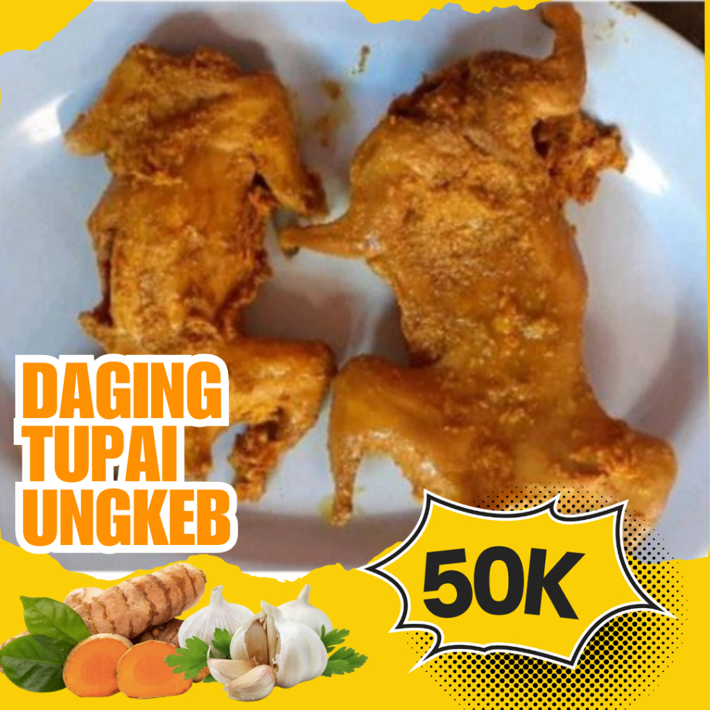 Jual DAGING TUPAI BUMBU KUNING SIAP GORENG DAN BAKAR PER 2 EKOR- DAGING ...