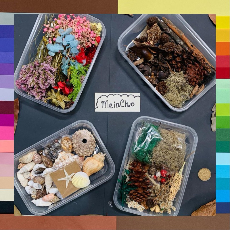 Jual Paket Bunga Kering Campur Import Flower MIX Scrapbooks Resin Foto ...