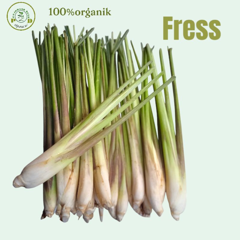 Jual Serai segar 1kg, sereh sayur fress, serai diambil langsung dari ...