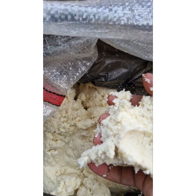 Jual ampas kedelai ampas tahu kering pakan ternak | Shopee Indonesia