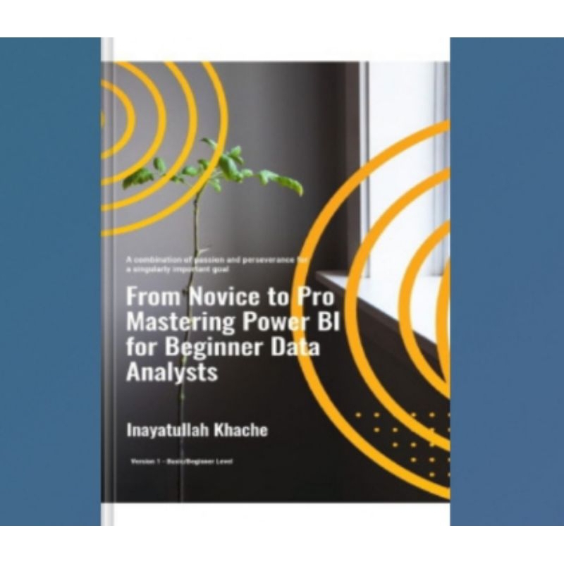 Jual Buku From Novice to Pro: Mastering Power BI for Beginner Data Analysts: Essential ...