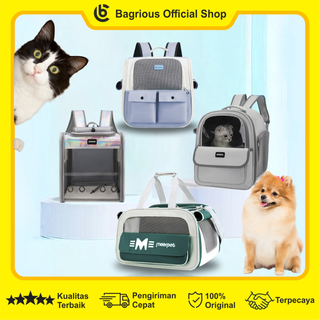Jual Tas Kucing Ransel Hewan Transparan Pet Cargo Anjing Besar Jumbo ...