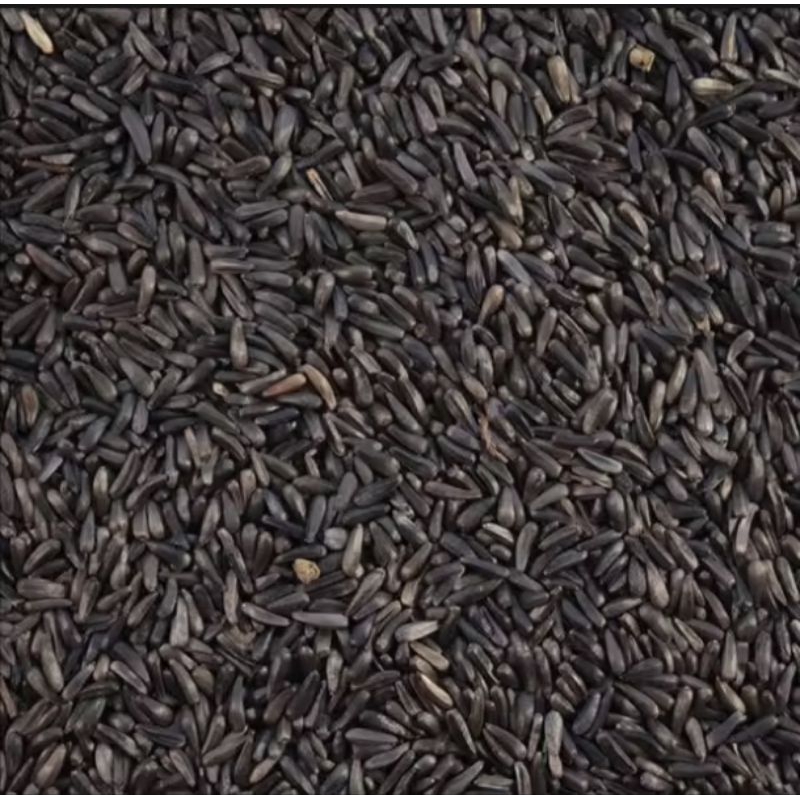 Jual Niger seed biji NIGGER hitam pakan kenari parkit kutut sanger ...