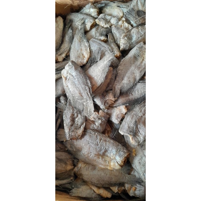 Jual Sepat Siem 1 KG ( 1000 Gram ) | Shopee Indonesia