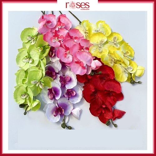 Jual Bunga anggrek orchid Kain Bunga Anggrek Tanaman Hiasan Dekorasi ...
