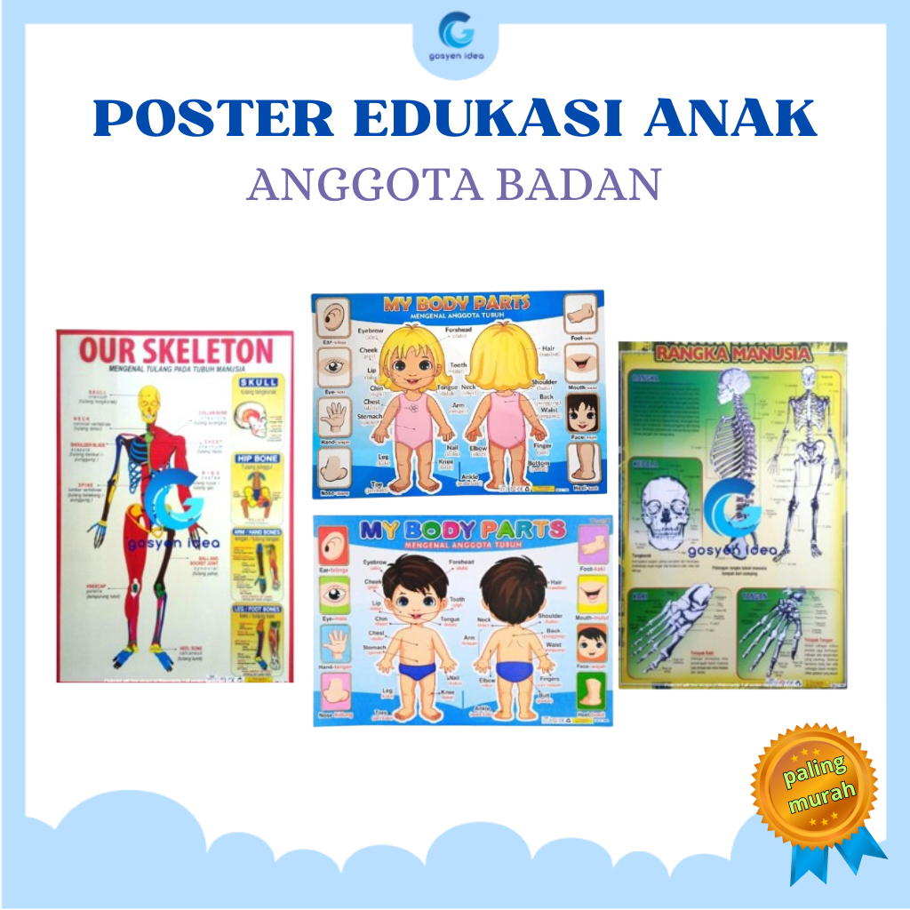 Jual Poster Edukasi Anak Belajar Mengenal Anggota Badan Satuan | Shopee ...
