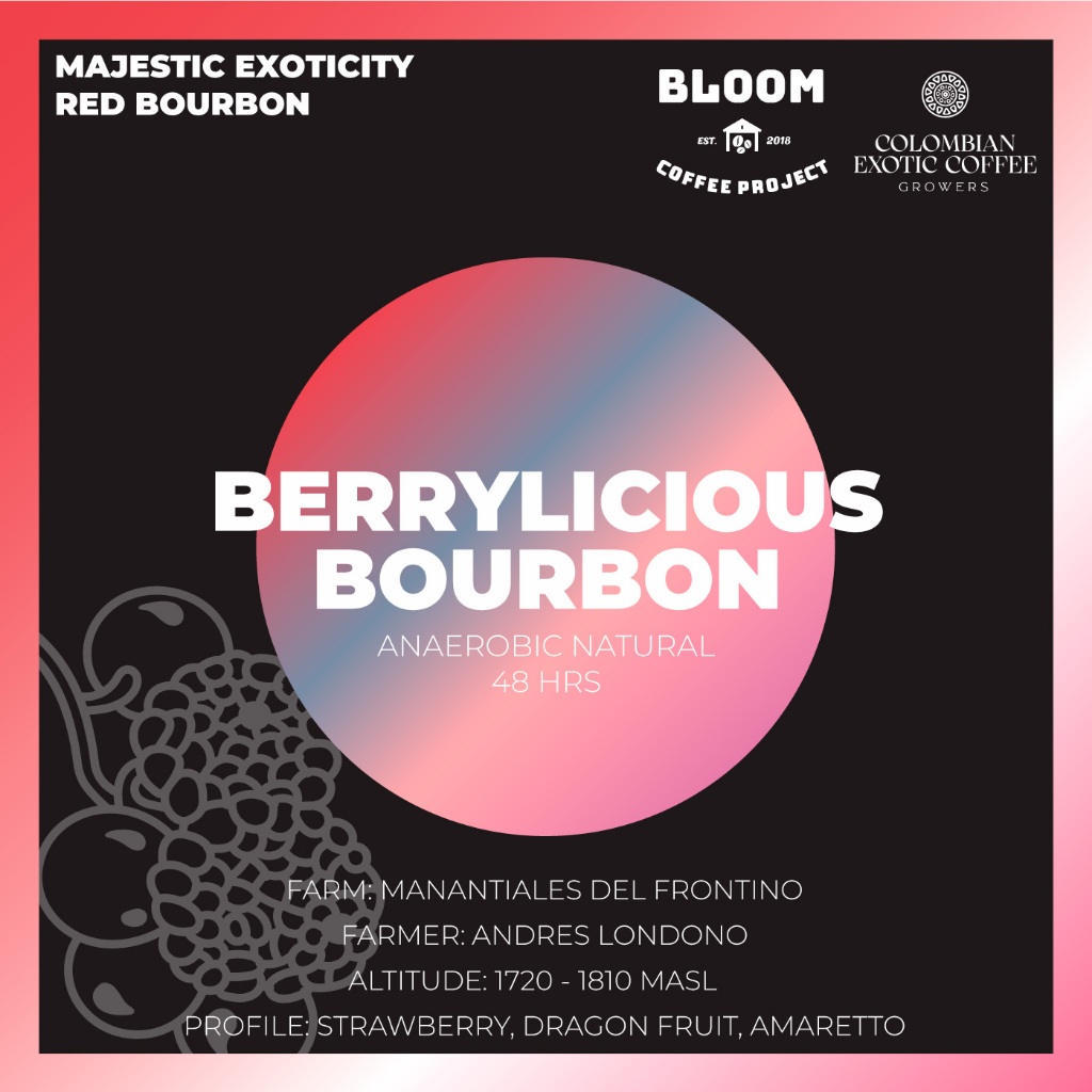 Jual Biji Kopi Colombia CEC - Berrylicious Bourbon - Majestic Exoticity - Anaerobic Natural 48 ...