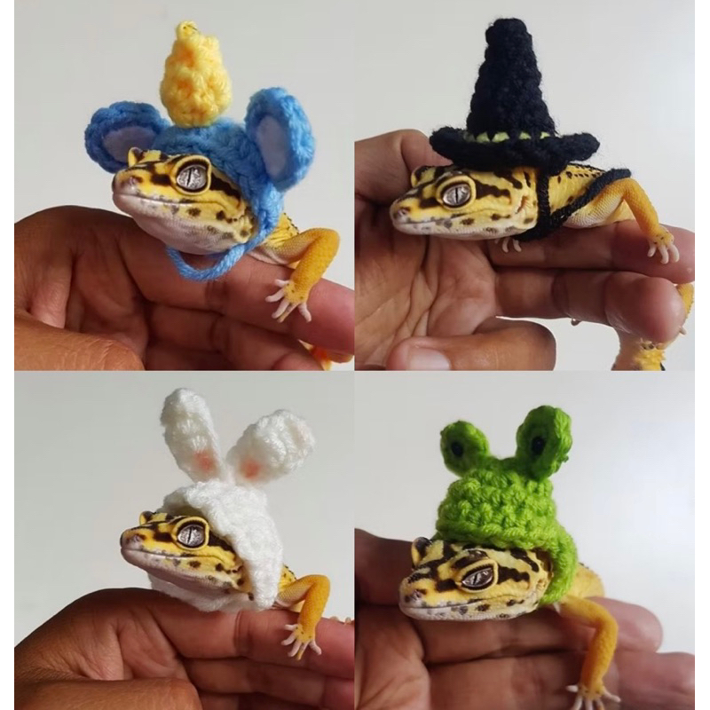 Jual topi rajut ular / gecko /mini biawak /tokek bisa request | Shopee ...