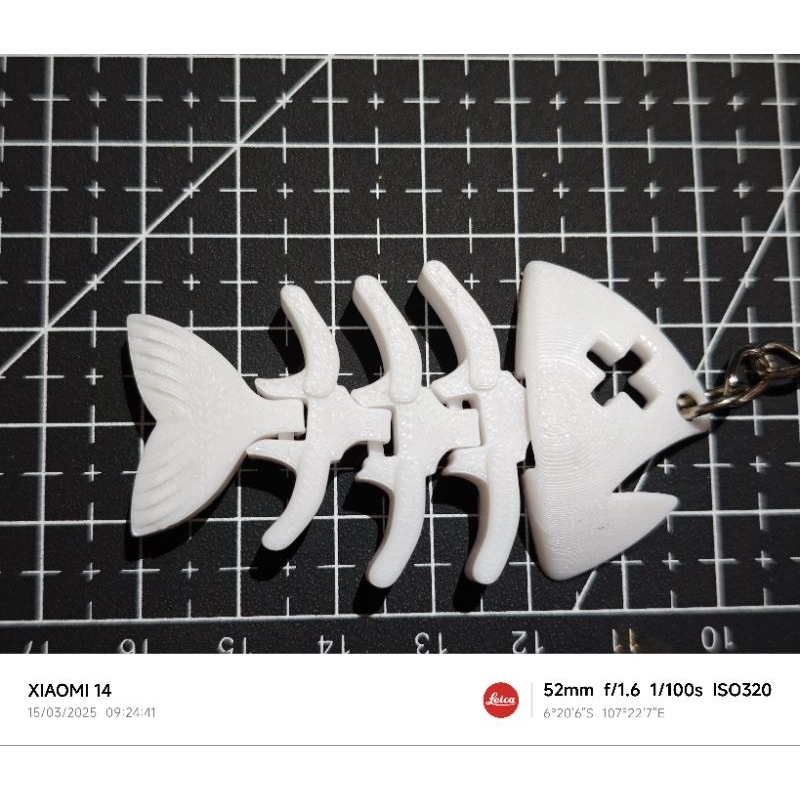 Jual Gantungan Kunci Fish Bone Tulang Ikan/ Keychain / Mainan / Hiasan ...