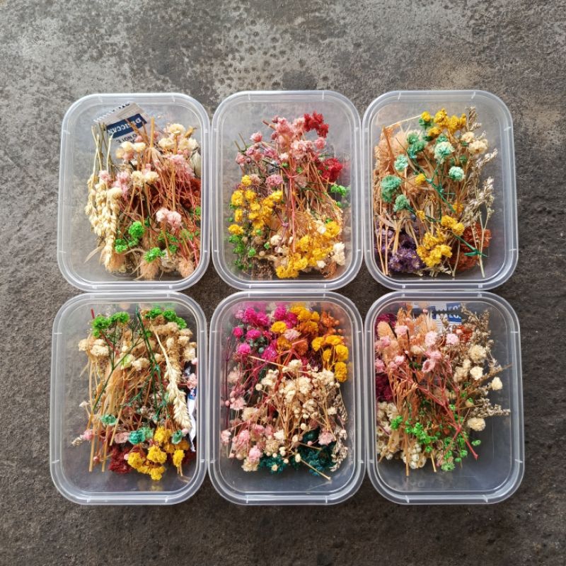 Jual bunga resin bunga kering untuk DIY resin | Shopee Indonesia