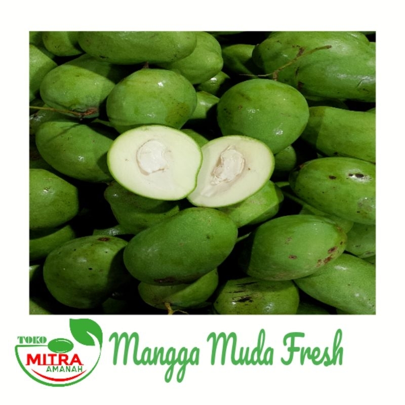 Jual MANGGA MUDA GARANSI FRESH | Shopee Indonesia